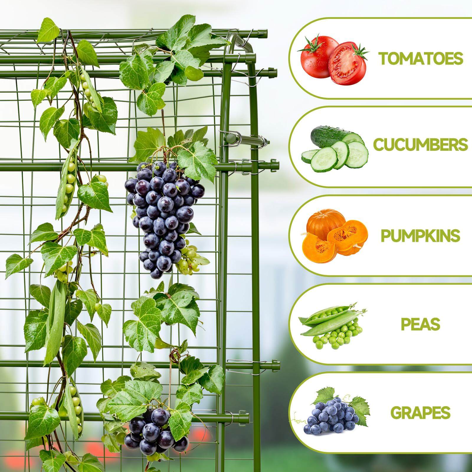 HIRALIY Garden Arch Trellis for Climbing Plants - Premium Drip ...